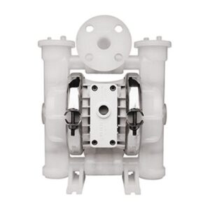 Wilden P2 1″ - Raelsa Supplies